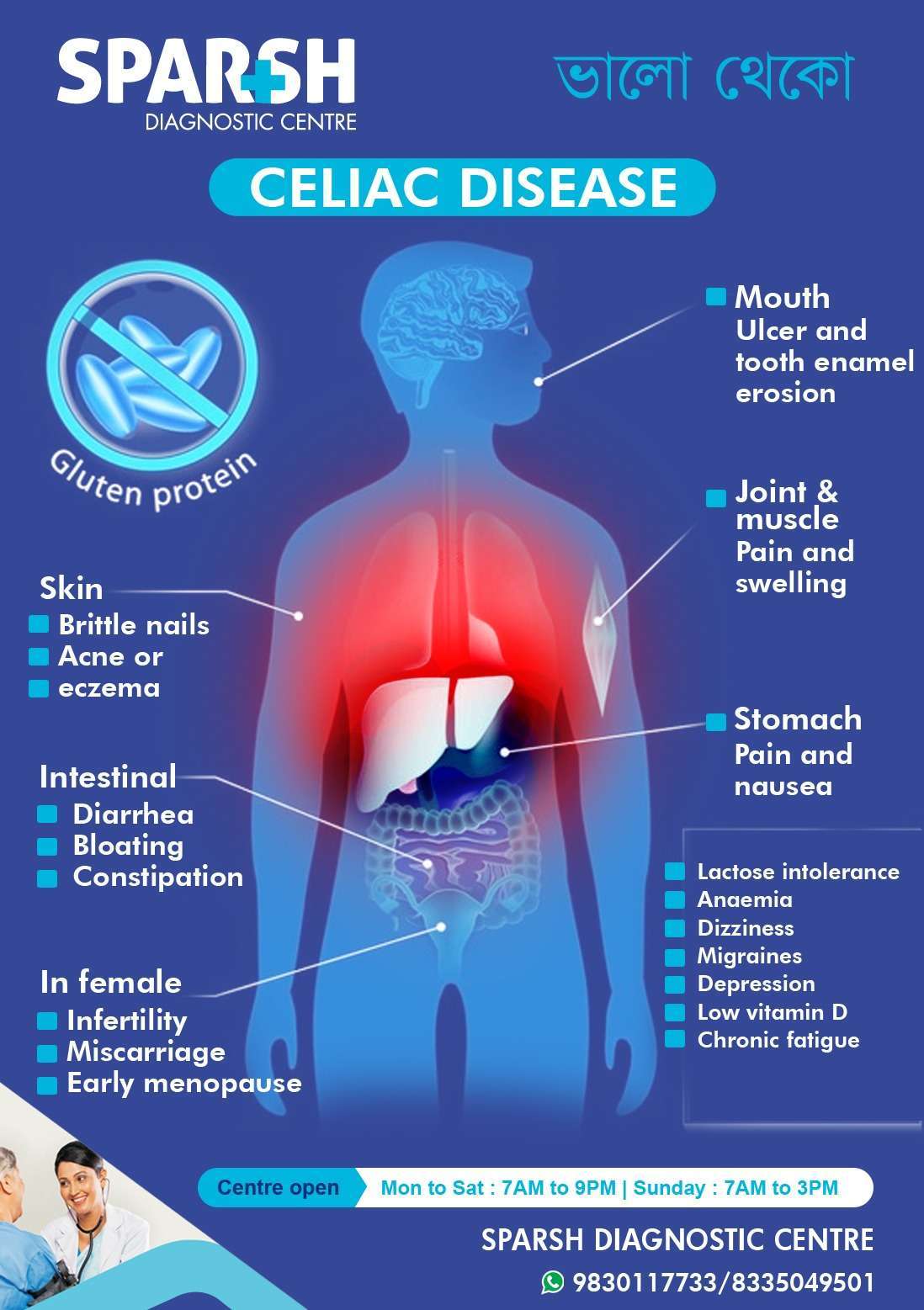 Celiac Artery