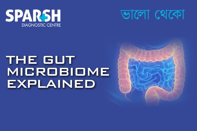 The Gut Microbiome Explained: How Your Digestive System Impacts Overall ...