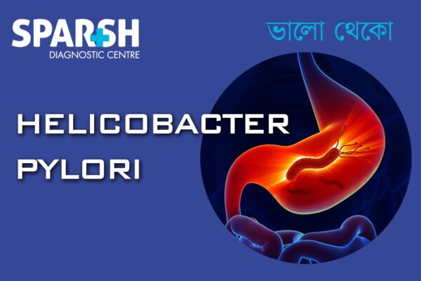 H. pylori: Understanding the Hidden Stomach Invader - Sparsh Diagnostic Center