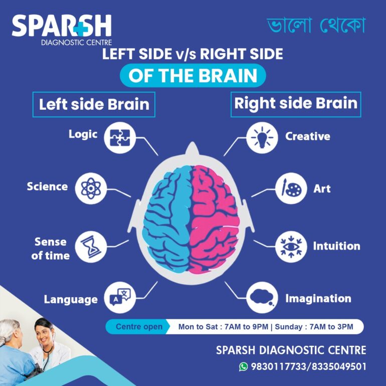 Left Side vs. Right Side of the Brain - Sparsh Diagnostic Center