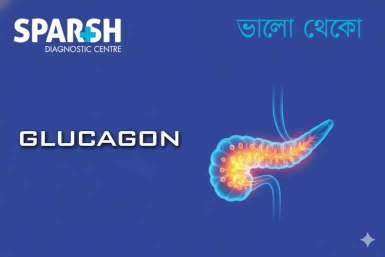 Glucagon: The Hormone That Raises Blood Sugar Levels - Sparsh ...