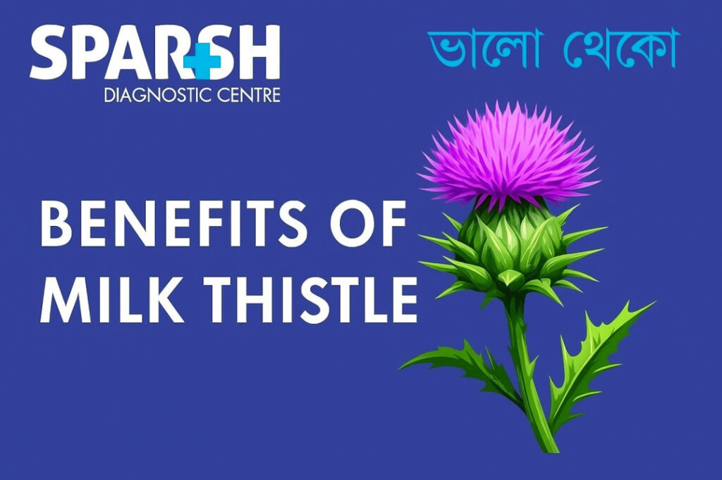 The Benefits of Milk Thistle: A Comprehensive Guide - Sparsh Diagnostic ...