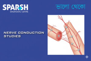 Nerve Conduction Studies (NCS): Understanding the Test, Procedure, and ...