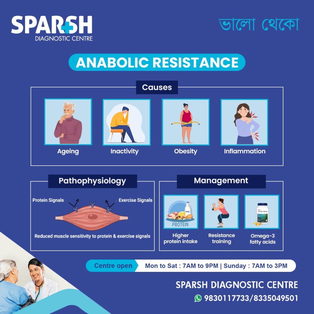 Anabolic Resistance: Causes, Symptoms, Diagnosis, and Ways to Overcome ...