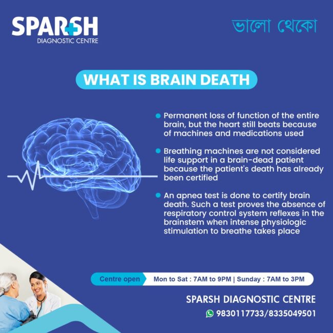Brain Death: Meaning, Causes, Diagnosis, and Legal Understanding ...